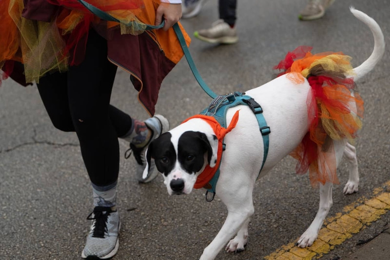 Turkey Trot - YMCA of Fort Worth